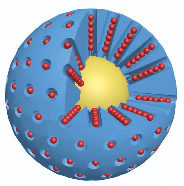 Nanoparticles team up with light to kill microbes﻿