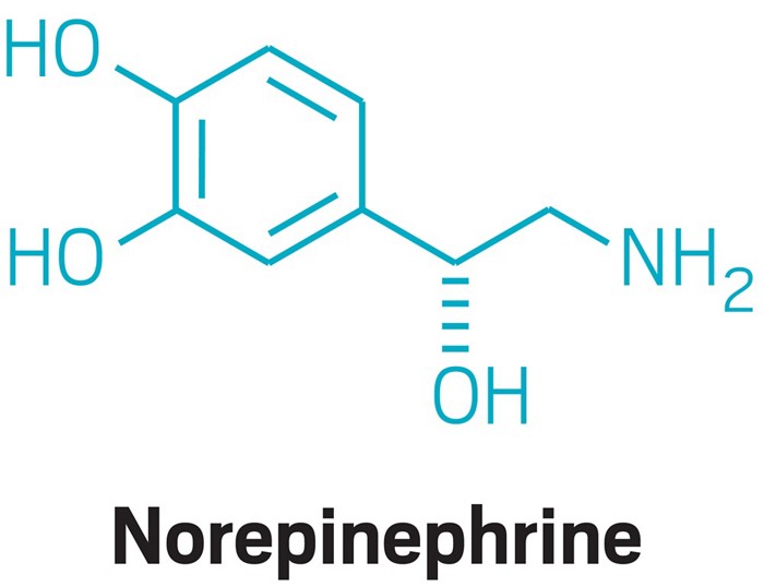 Spying on early ovarian cancer with mass spec imaging