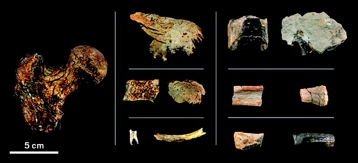 Uncovering the chemical secrets of burned bones﻿