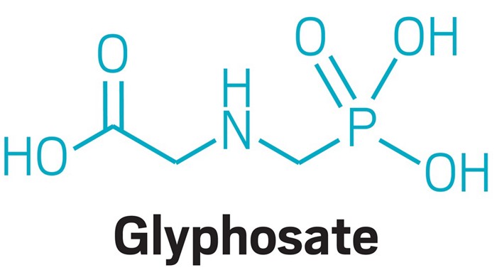 Glyphosate disrupts honey bee gut bacteria – Choose Life