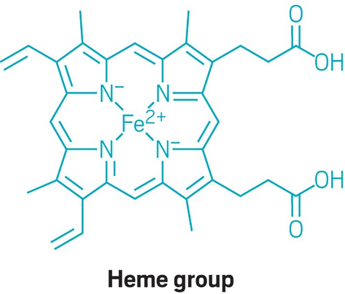 Raman techniques might one day allow blood banks to monitor the quality ...