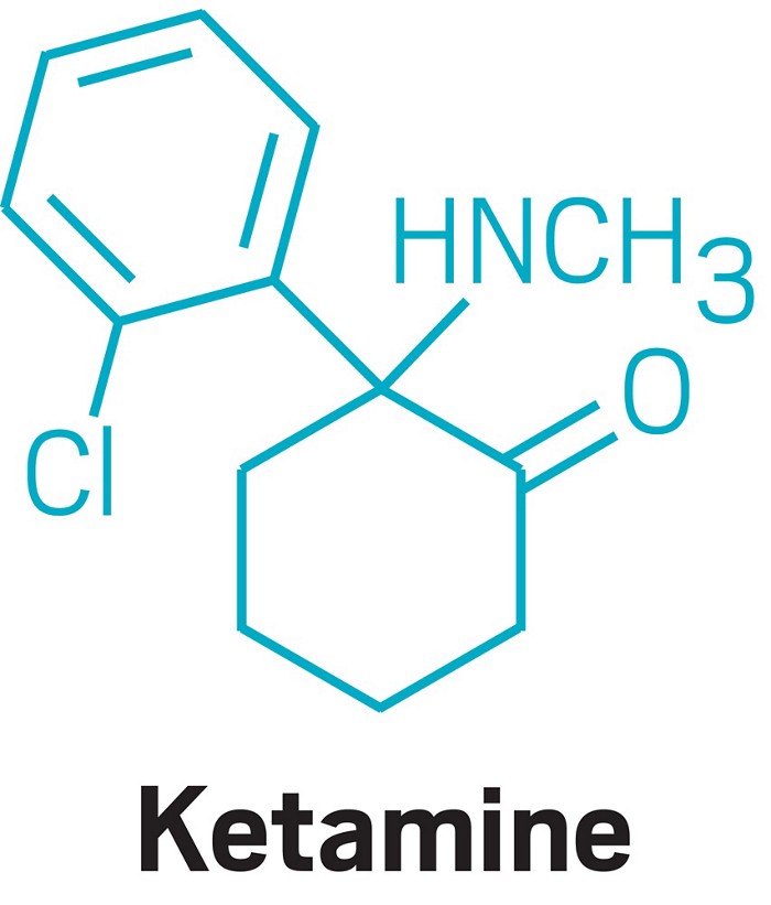 Ketamine helps neurons regrow lost connections