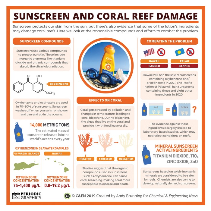 Spotlight on Chemistry: Sunscreen and Coral Reef Damage | CBC ...