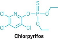 US-EPAs-chlorpyrifos-decision-spurs