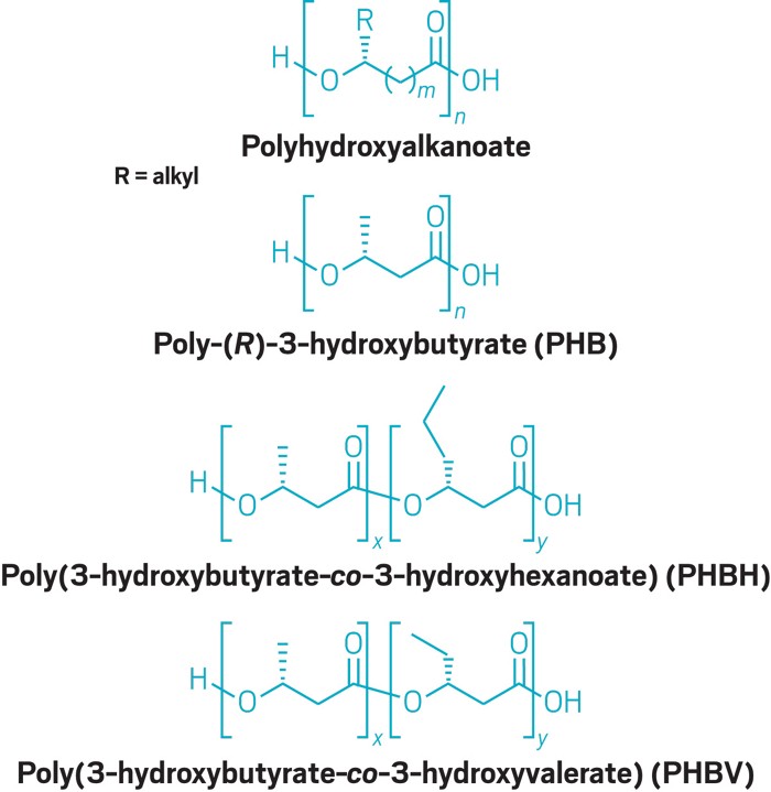 PHA: A biopolymer whose time has finally come