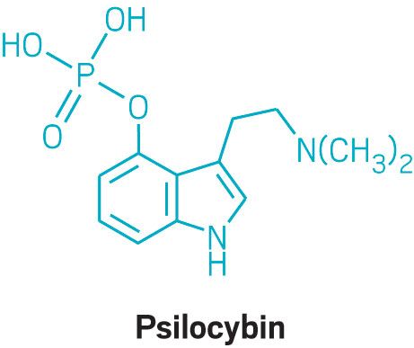 Psilocybin Molecule