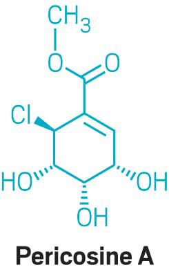 Chemistry that delighted us in 2019