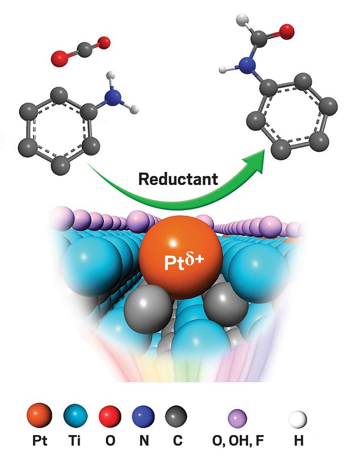 MXene serves as support material for single-atom catalysts
