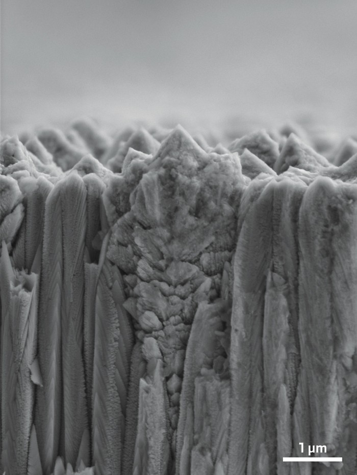 Antimicrobial titanium dioxide coatings activated by indoor light