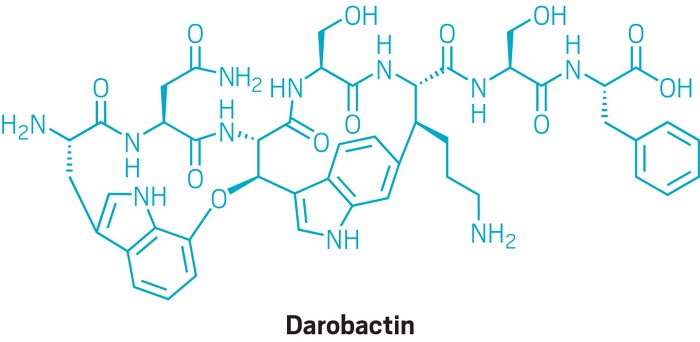 Darobactin, un nuovo antibiotico per nuove speranze