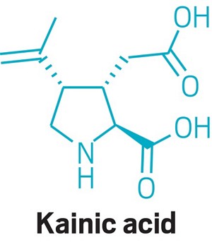 Seaweed enzymes offer an inexpensive route to kainic acid production