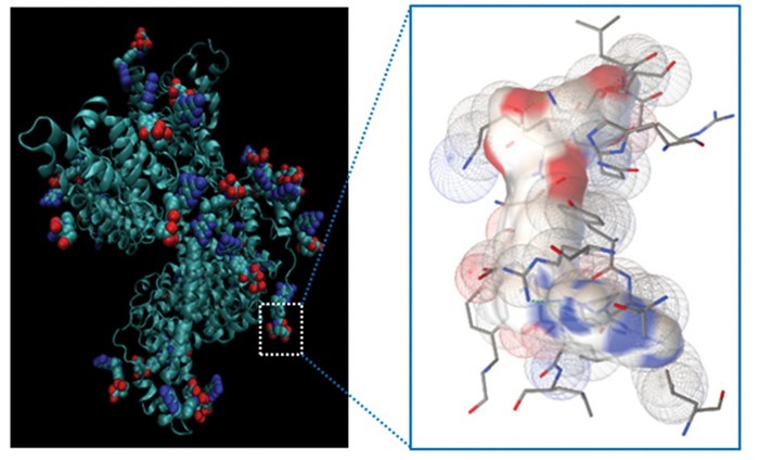 Albumin nanoparticles could help a rheumatoid arthritis drug work better