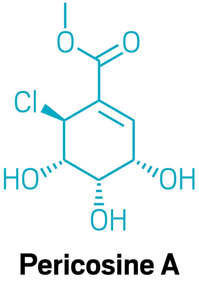 Fungal compound has the power to deskunk