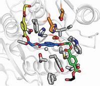 Structure of plastic-munching enzyme MHETase solved