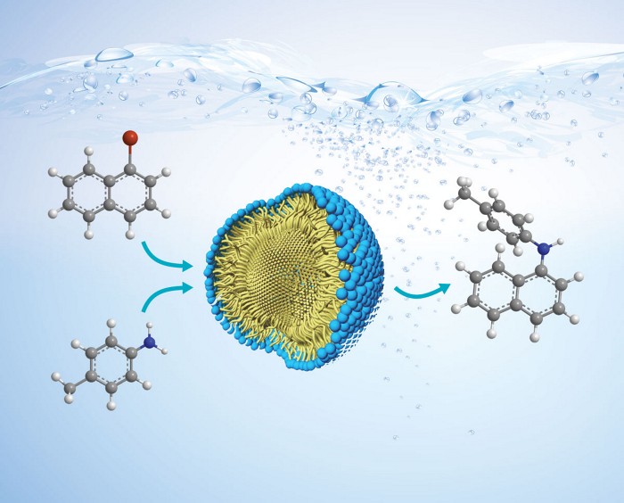 For organic chemists, micellar chemistry offers water as a solvent