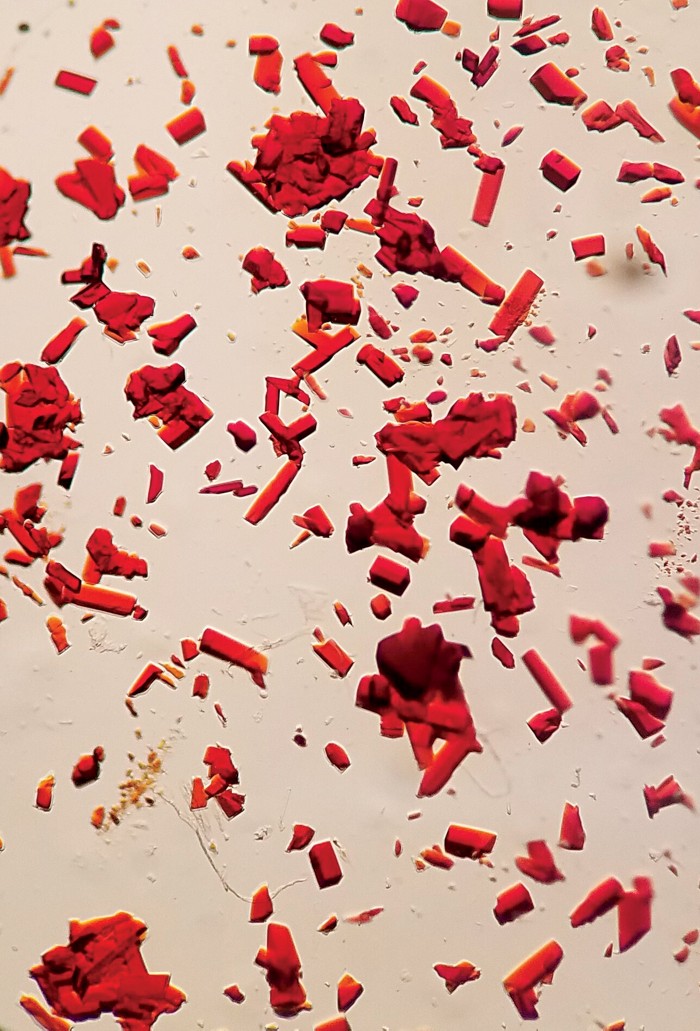 Why Sodium And Potassium Really Explode In Water