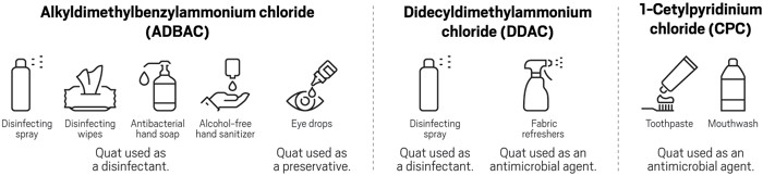 Do we know enough about the safety of quat disinfectants? - Global ...