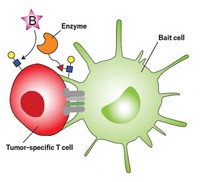 Pinning-bulls-eye-cancer-cells