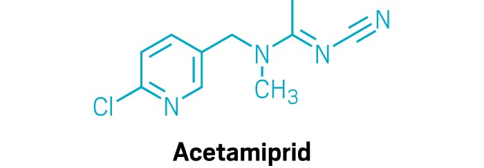 Neonicotinoid pesticides can stay in the US market, EPA says | LHPWG