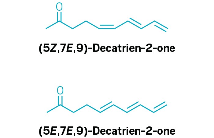 Edible fungus yields new pineapple flavor molecule