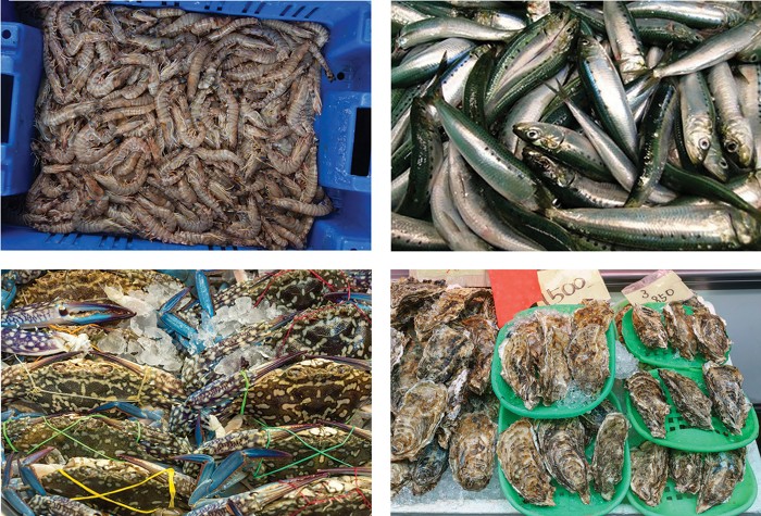 Measuring microplastics in seafood