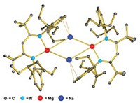 The structure of bleach