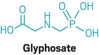 Glyphosate not a carcinogen, EU panel affirms