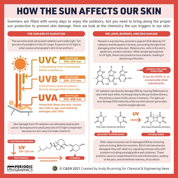 Periodic Graphics: The chemistry of how our skin responds to the sun