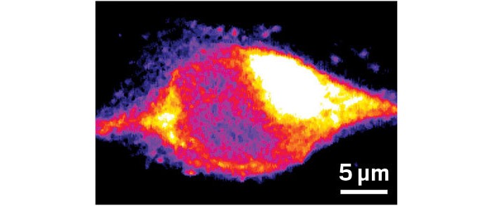 A better way to do infrared microspectroscopy