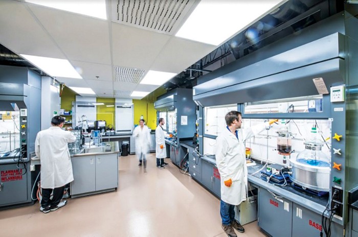 Drug Testing And 'Caine' Drugs