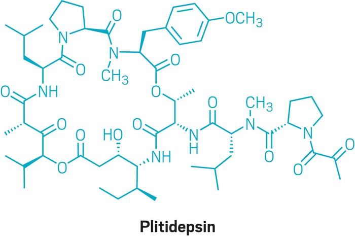 Plitidepsin, a molecule from sea squirts, could be a COVID-19 antiviral