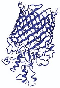 The Protein ‘Periodic Table’