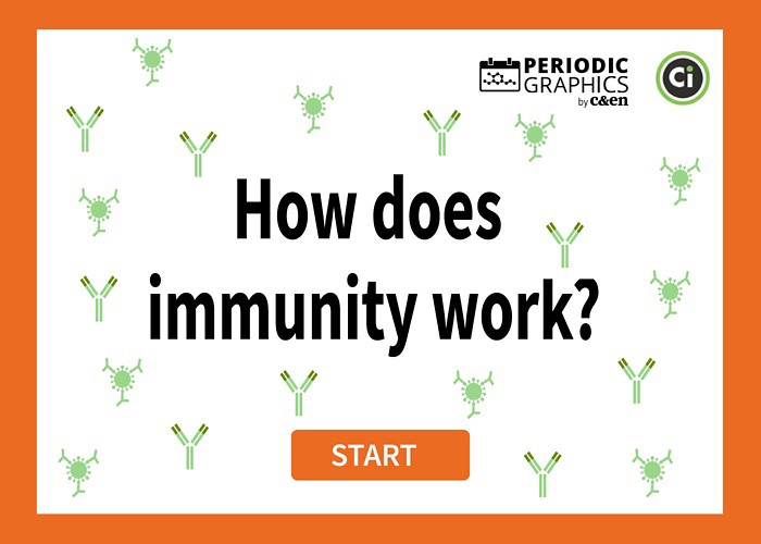 Quiz: How does immunity work?