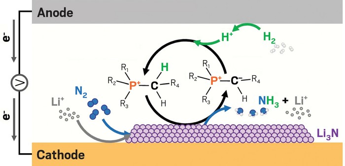 Phosphonium salt boosts electrochemical Haber-Bosch reaction