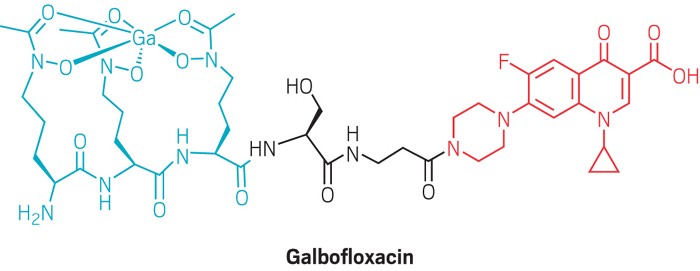 Modular antibiotic has improved potency