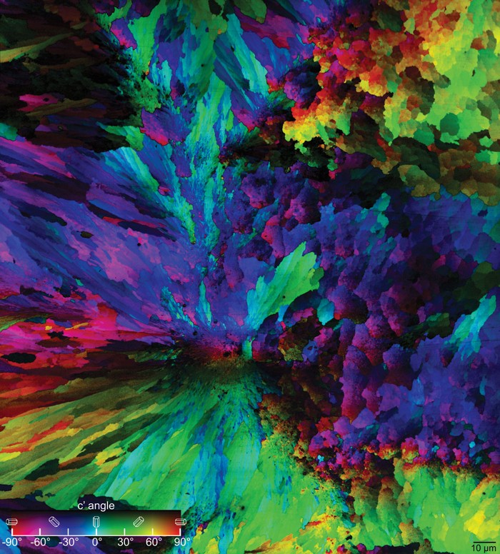 Imaging reveals how coral crystals grow