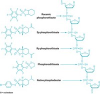 Nucleotide construction gets new chiral tool