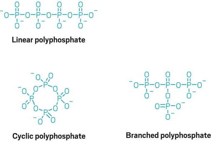 Branched polyphosphates can be stable after all