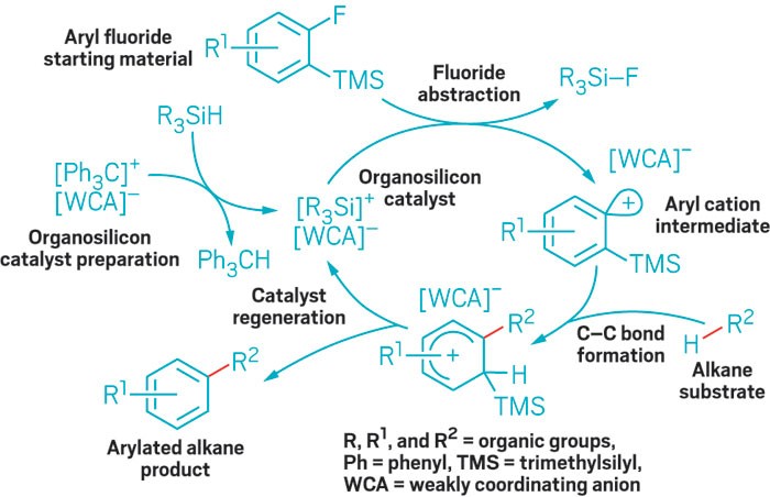 Pinning aryl groups on alkanes